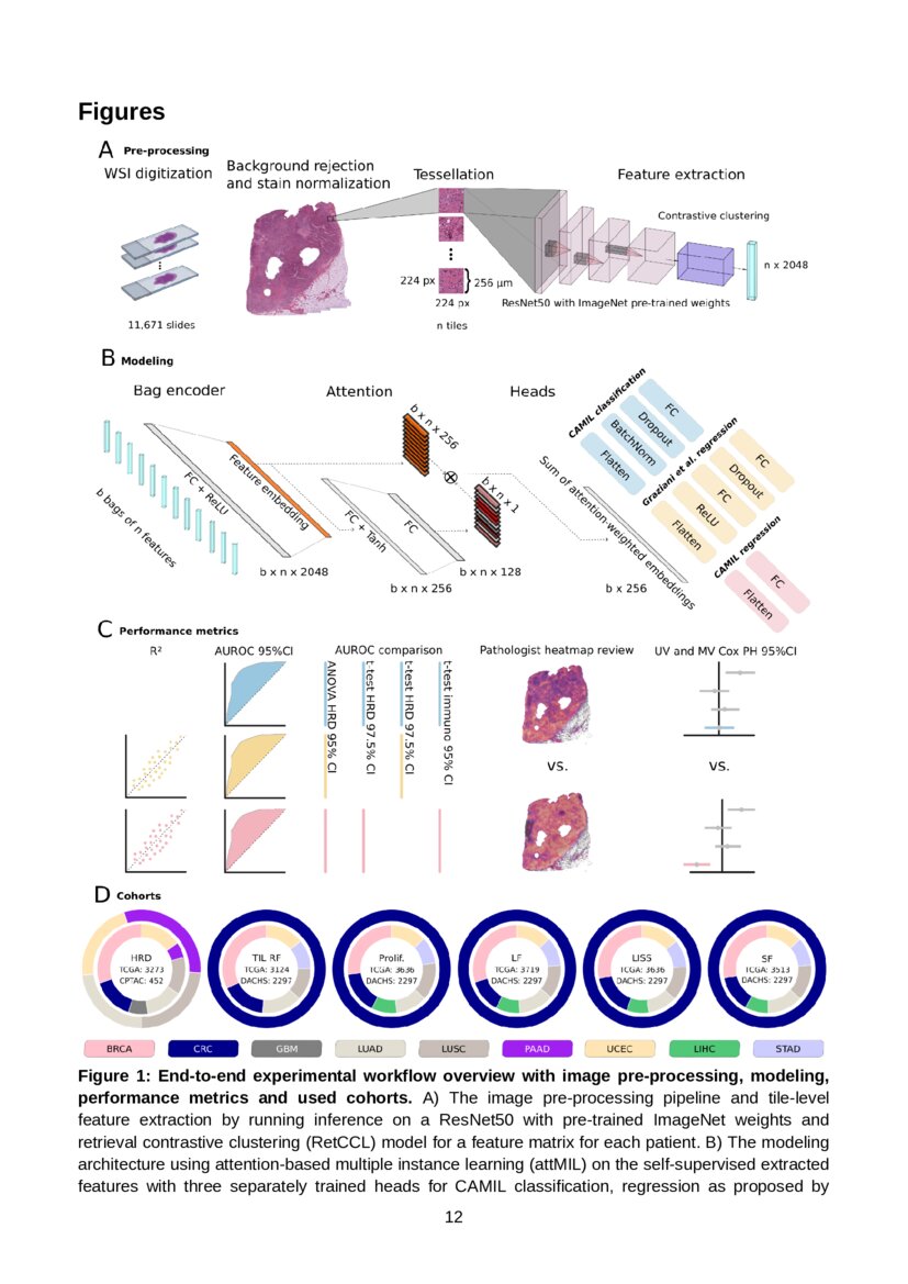 Regression-based Deep-Learning predicts molecular biomarkers from pathology slides | DeepAI
