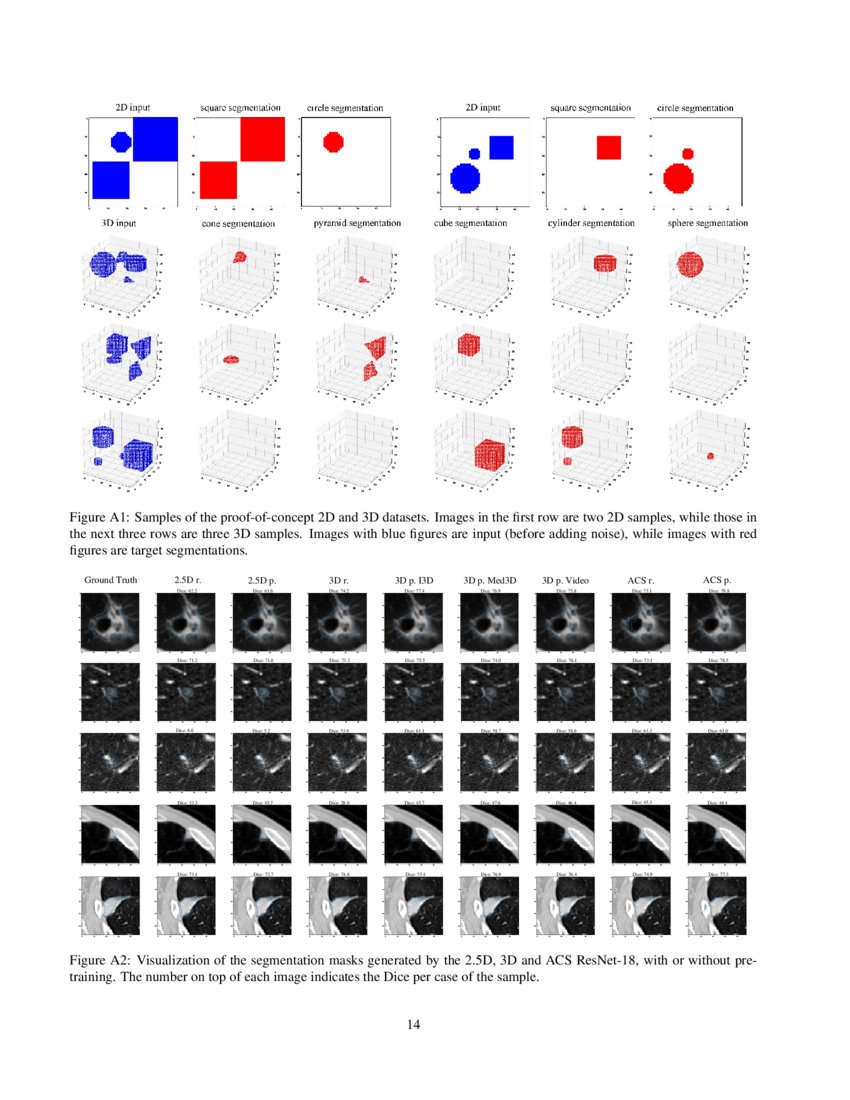 Reinventing 2D Convolutions for 3D Medical Images | DeepAI