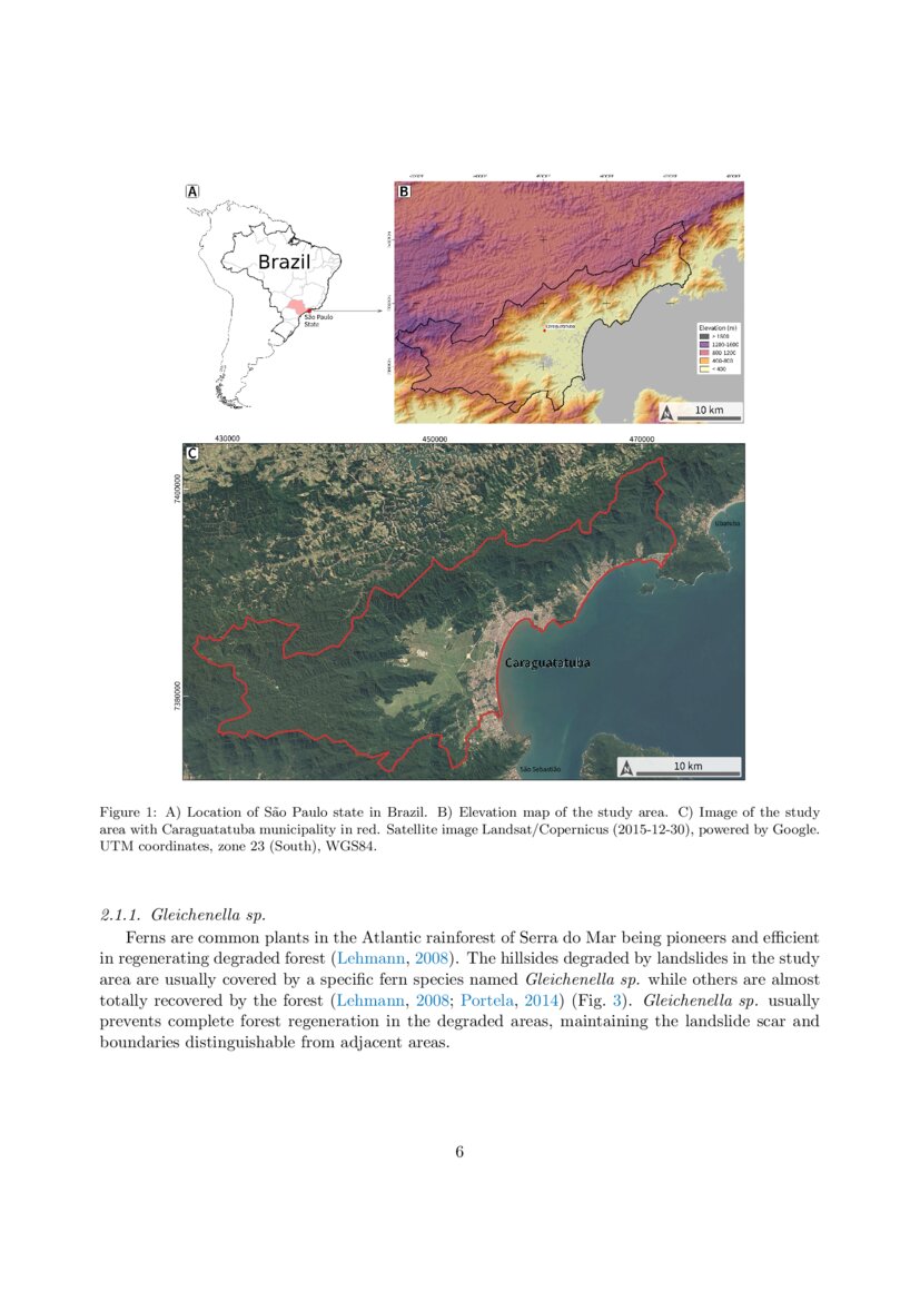 Relict Landslide Detection In Rainforest Areas Using A Combination Of K Means Clustering