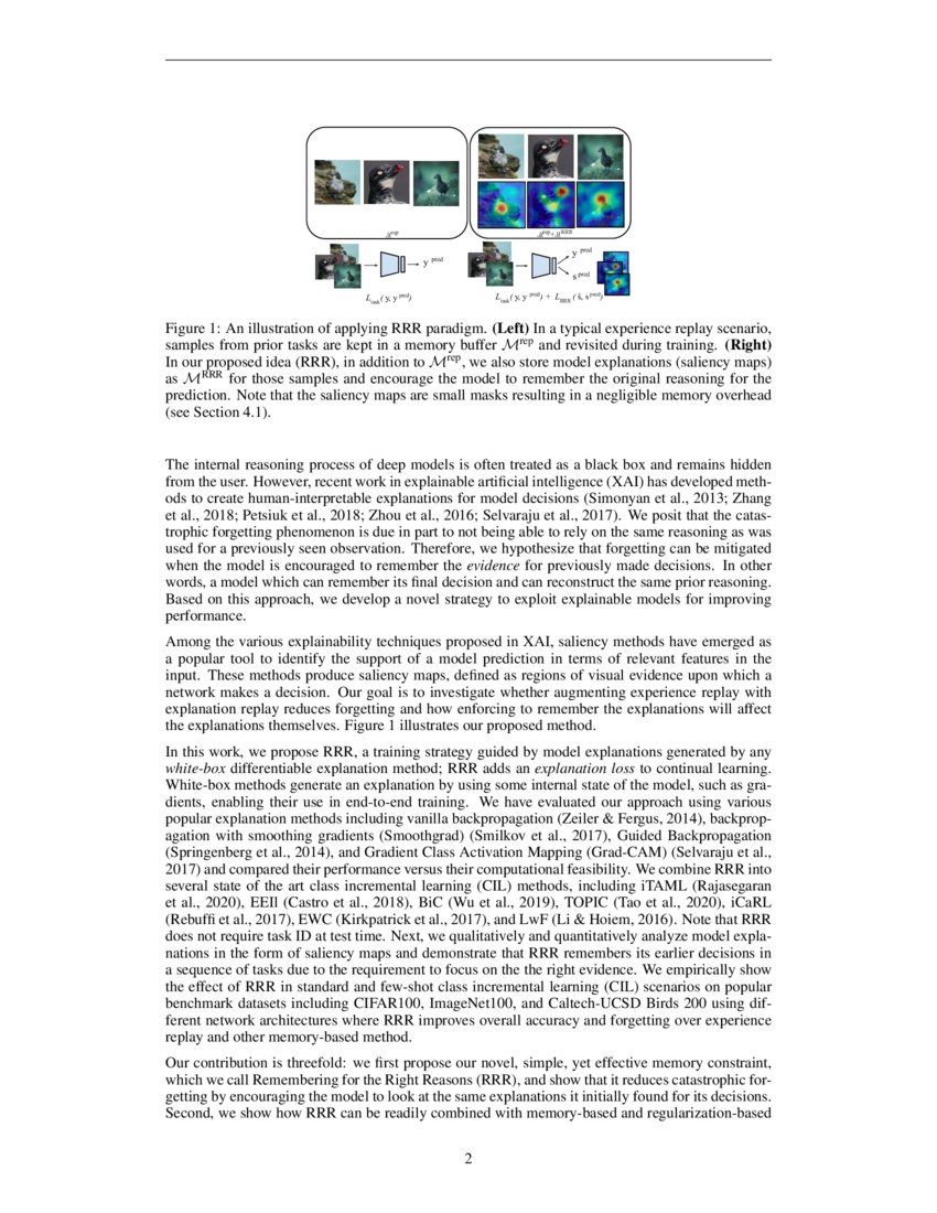 Remembering for the Right Reasons: Explanations Reduce Catastrophic Forgetting | DeepAI