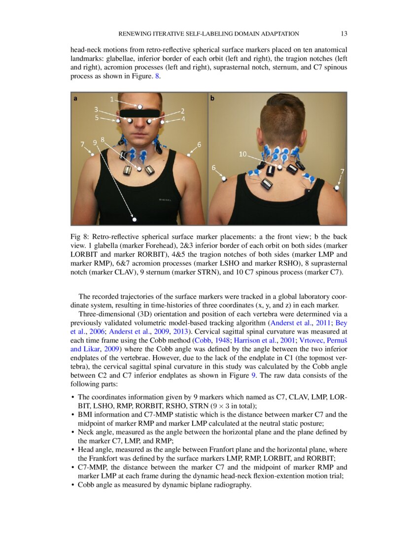 Renewing Iterative Self Labeling Domain Adaptation With Application To