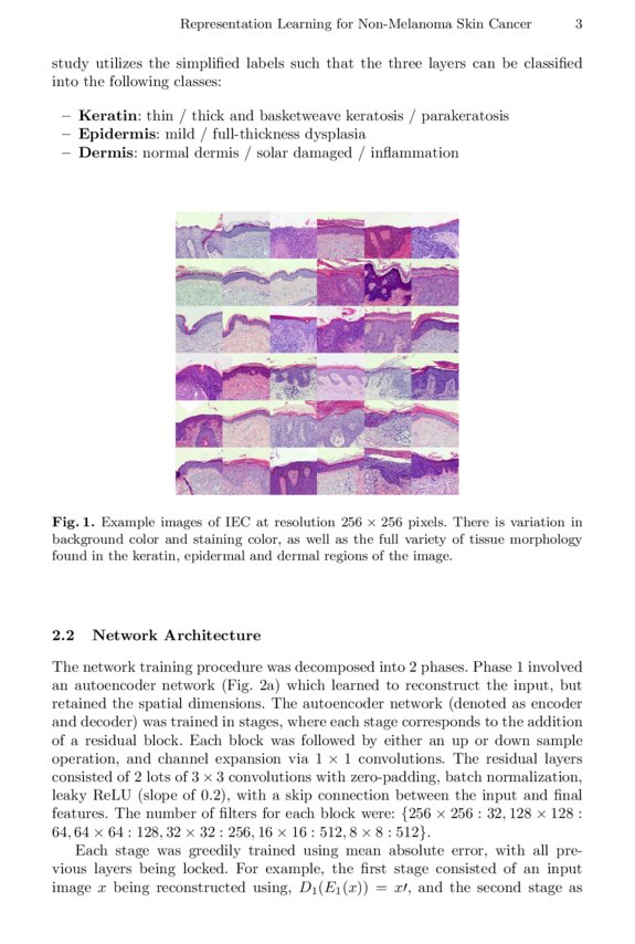 Representation Learning For Non Melanoma Skin Cancer Using A Latent Autoencoder Deepai