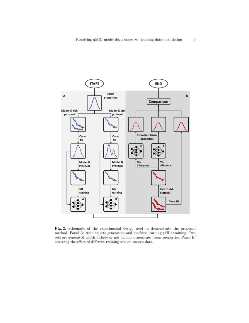 Resolving quantitative MRI model degeneracy with machine learning via training data distribution ...