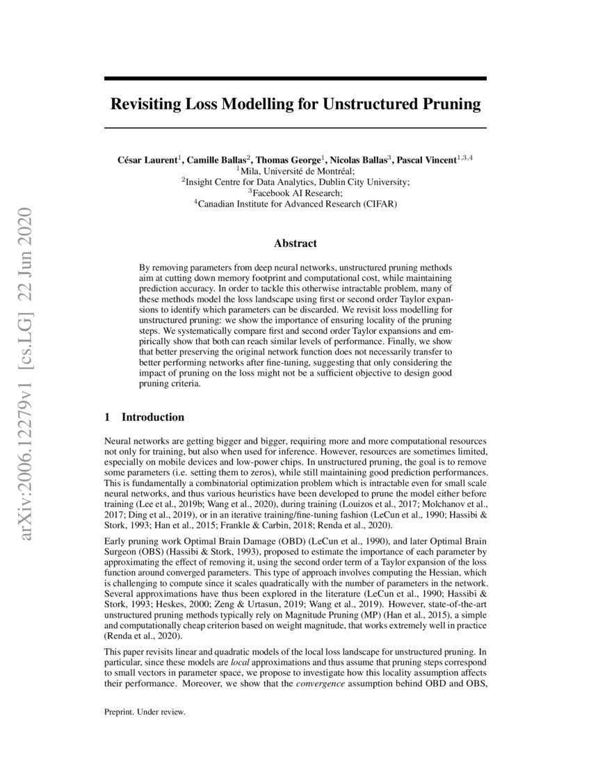Revisiting Loss Modelling for Unstructured Pruning | DeepAI