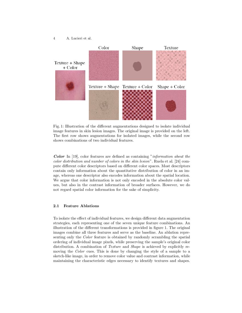 Revisiting The Shape Bias Of Deep Learning For Dermoscopic Skin Lesion