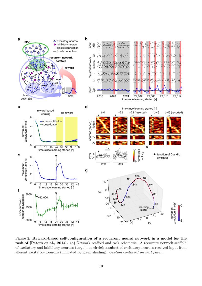 Reward-based stochastic self-configuration of neural circuits | DeepAI