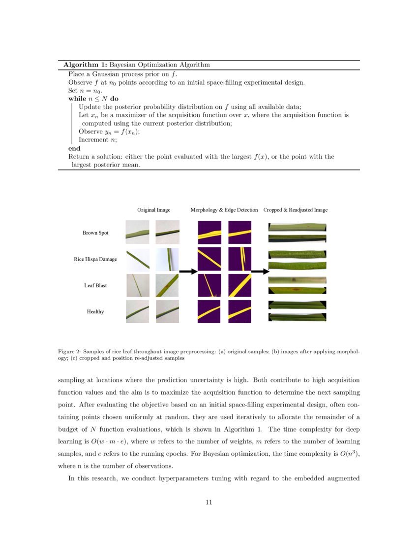Rice Diseases Detection And Classification Using Attention Based Neural Network And Bayesian