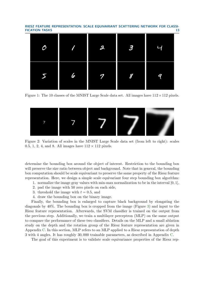 Riesz feature representation: scale equivariant scattering network for ...