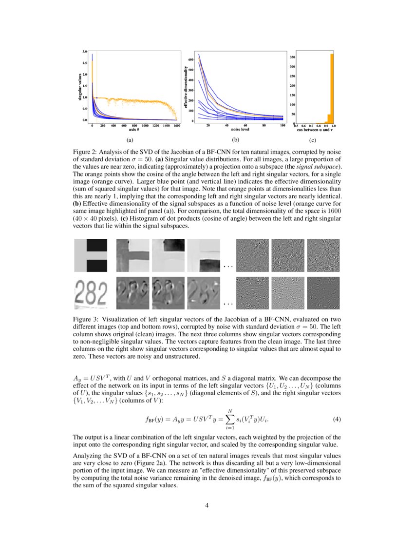 Robust and interpretable blind image denoising via bias-free ...