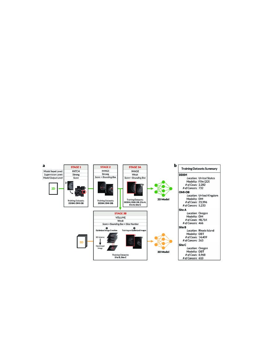 Robust breast cancer detection in mammography and digital breast ...