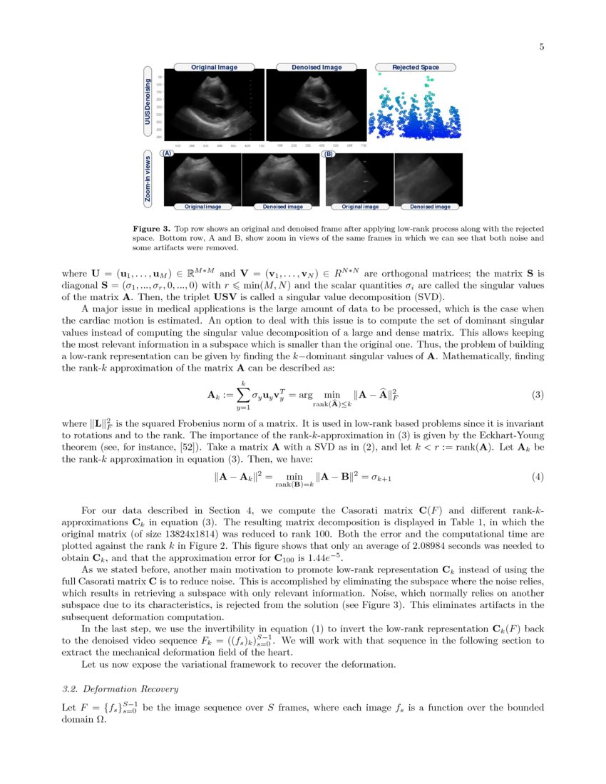 Robust Cardiac Motion Estimation Using Ultrafast Ultrasound Data A Low Rank Topology Preserving