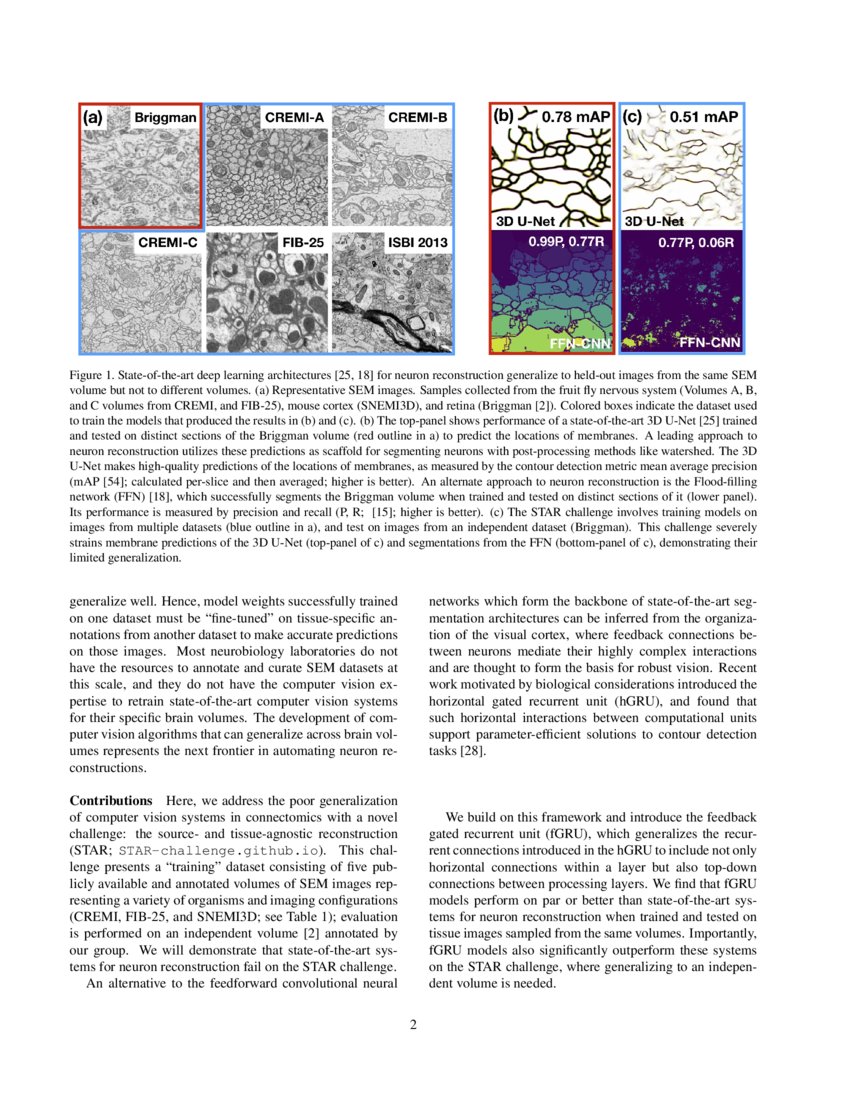 Robust Neural Circuit Reconstruction From Serial Electron Microscopy
