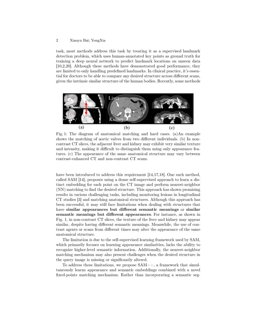 Sam Enhancing Anatomic Matching Using Semantic Information And