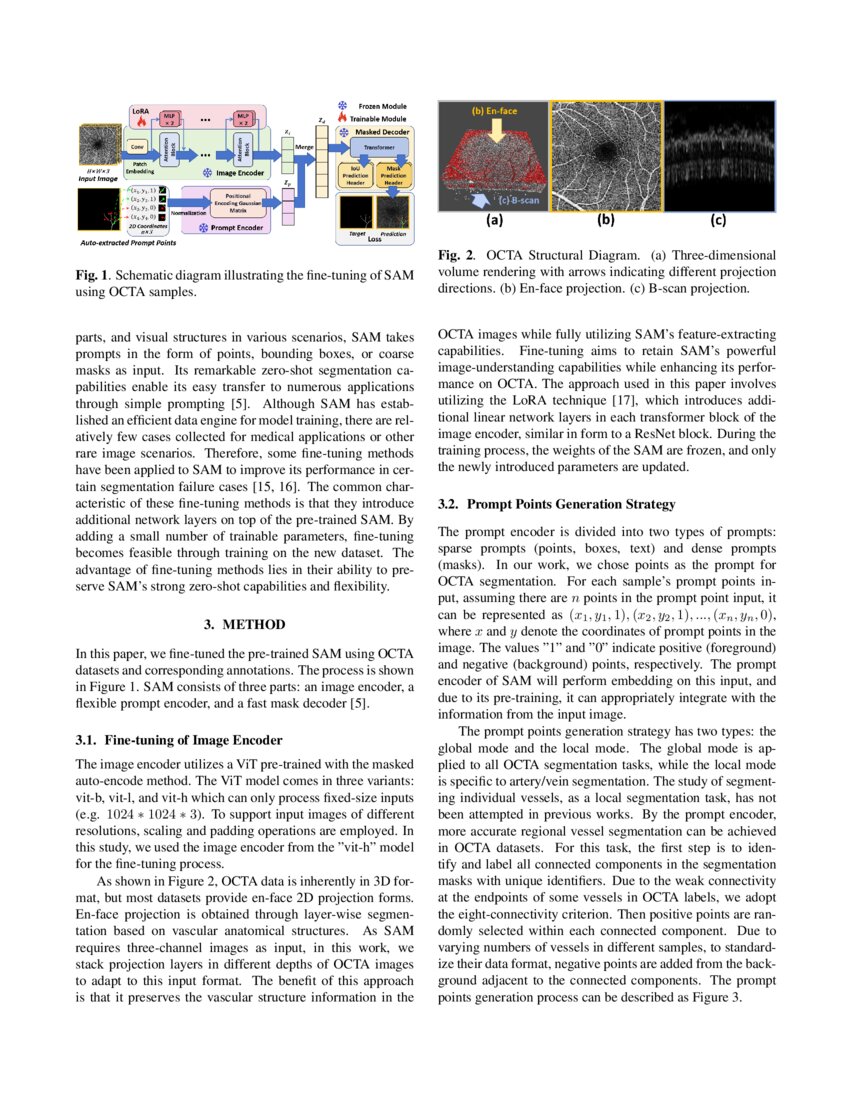 SAM-OCTA: A Fine-Tuning Strategy for Applying Foundation Model to OCTA Image Segmentation Tasks ...