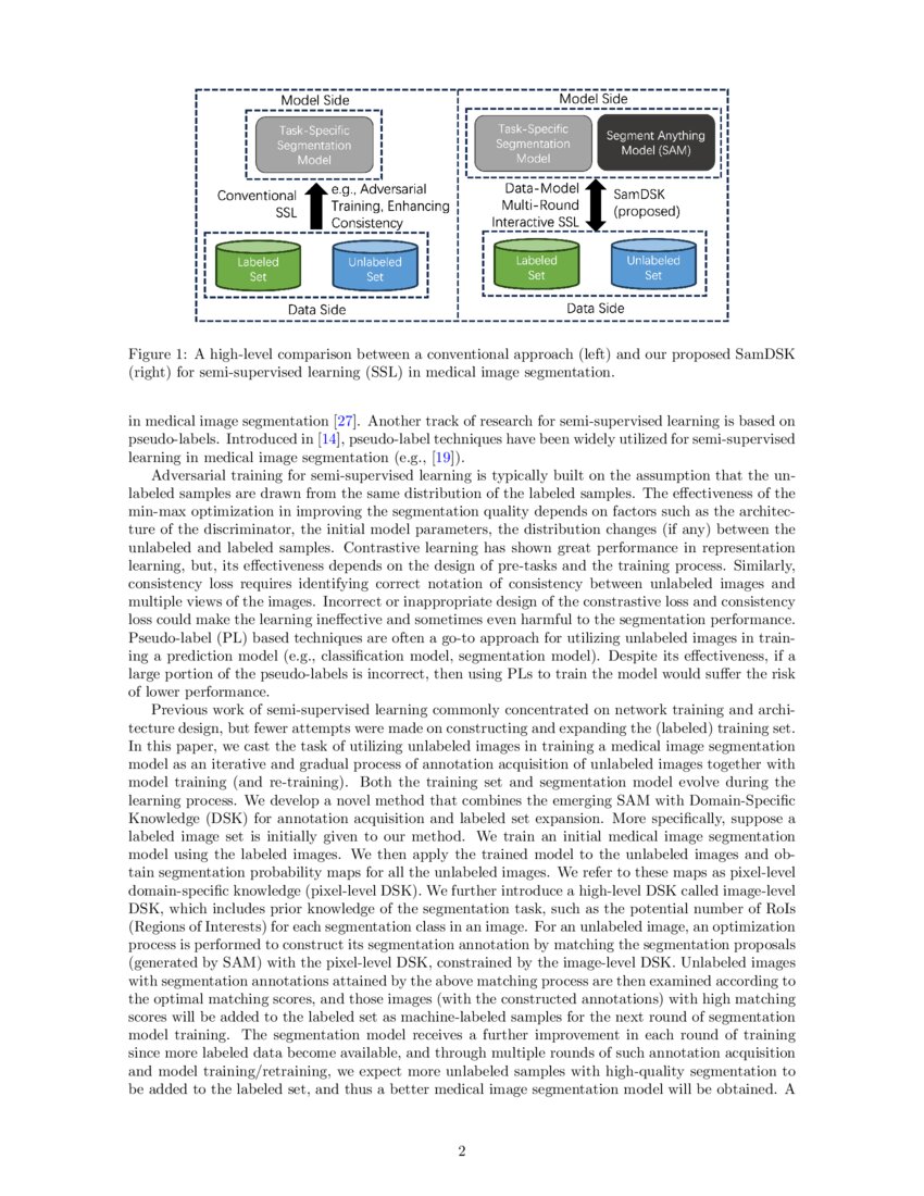 SamDSK: Combining Segment Anything Model with Domain-Specific Knowledge for Semi-Supervised ...