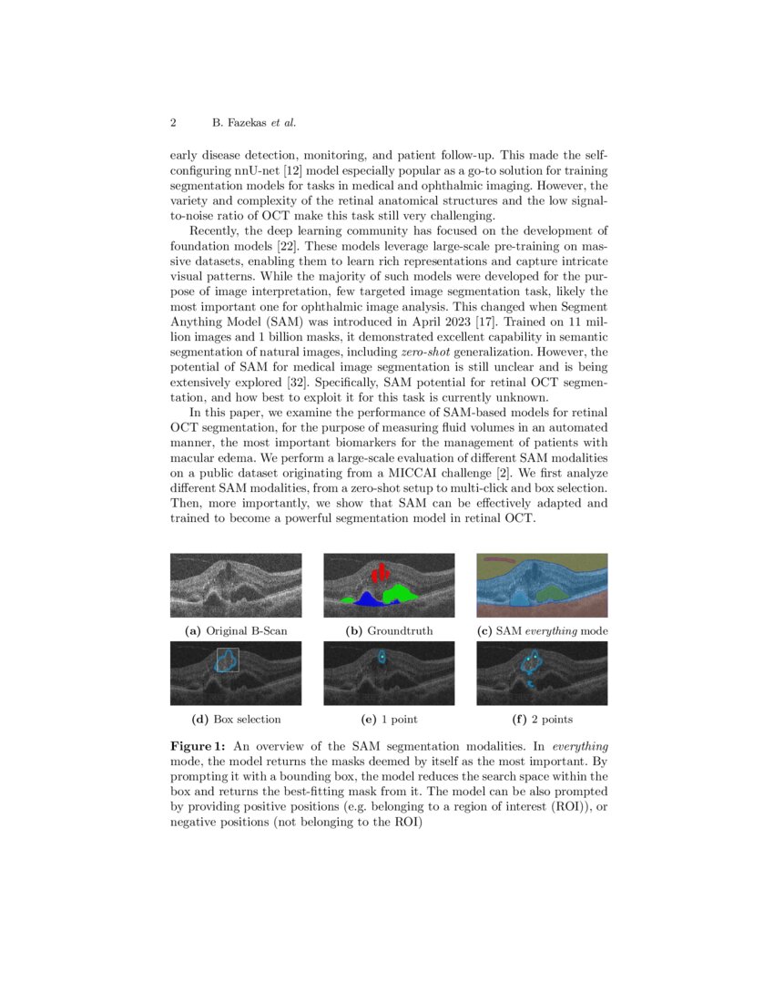 SAMedOCT: Adapting Segment Anything Model (SAM) for Retinal OCT | DeepAI