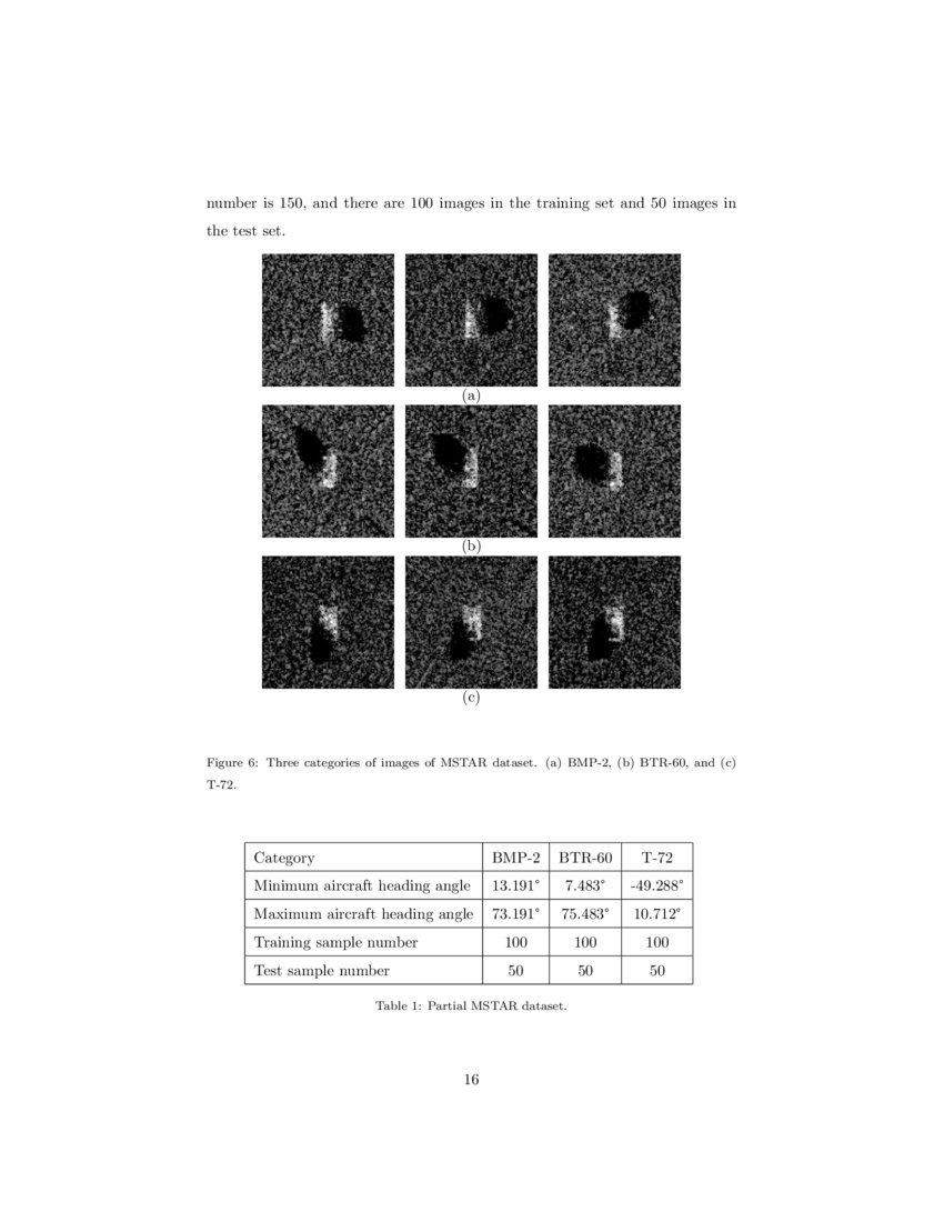 SAR Image Classification Based on Spiking Neural Network through Spike-Time Dependent Plasticity ...