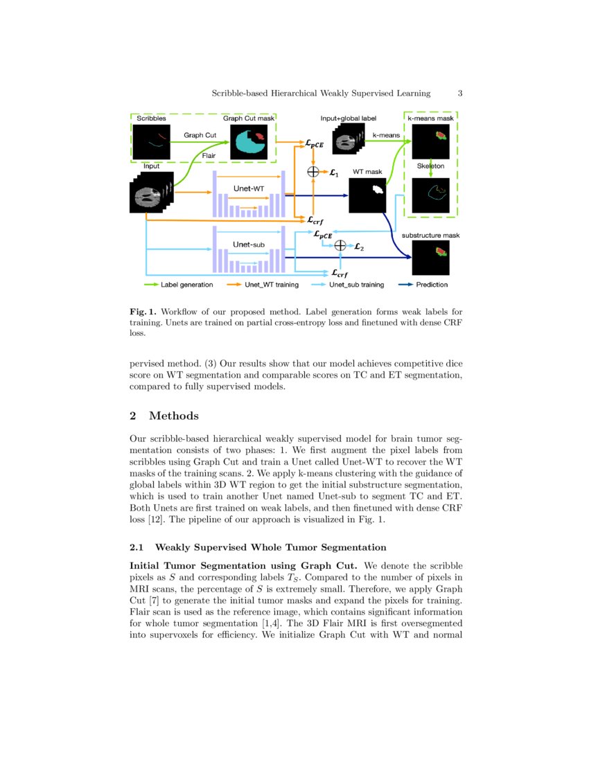 Scribble-based Hierarchical Weakly Supervised Learning for Brain Tumor ...