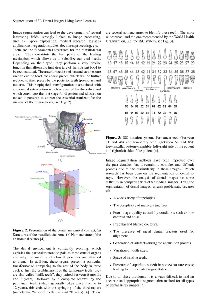 Segmentation Of 3d Dental Images Using Deep Learning Deepai 