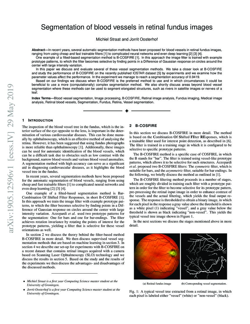 Segmentation of blood vessels in retinal fundus images | DeepAI