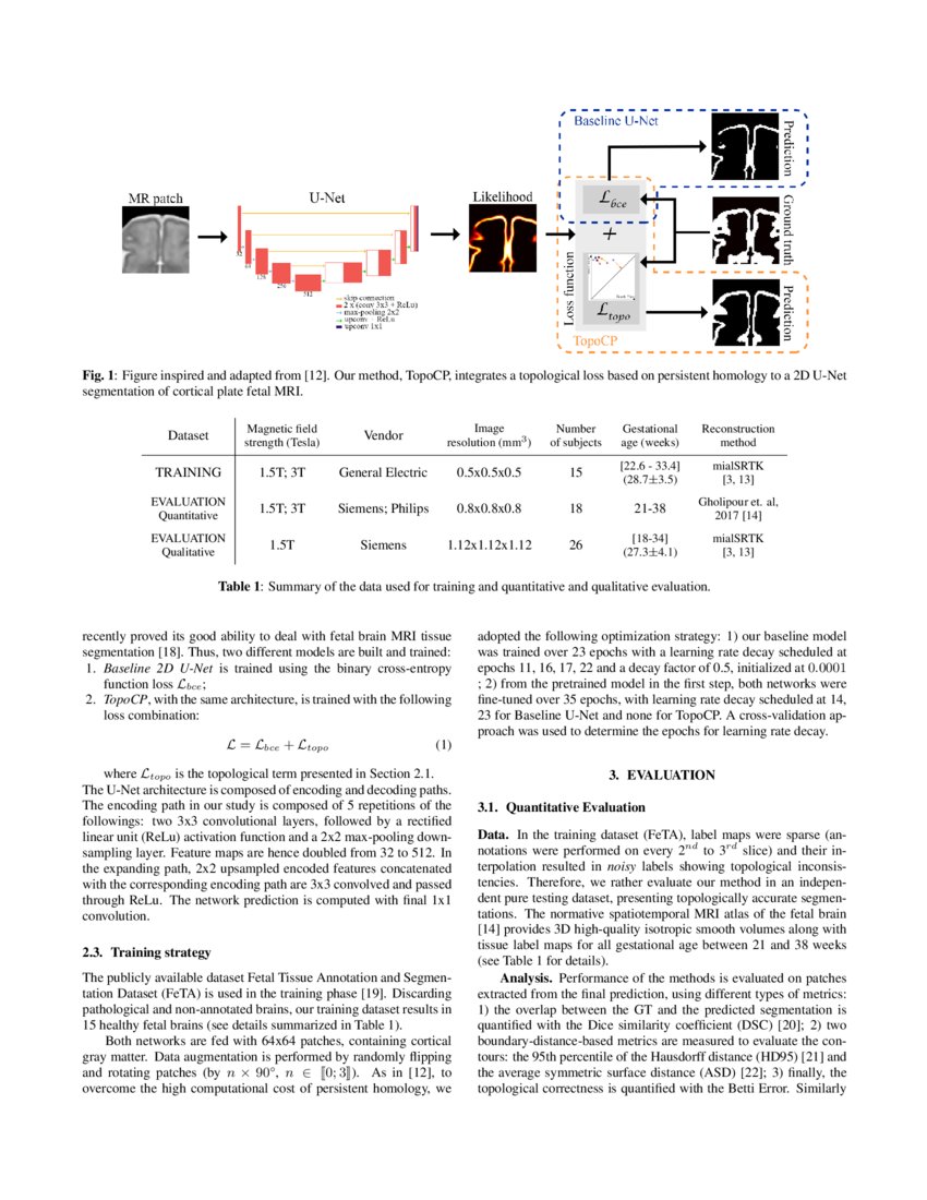 Segmentation Of The Cortical Plate In Fetal Brain Mri With A Topological Loss Deepai
