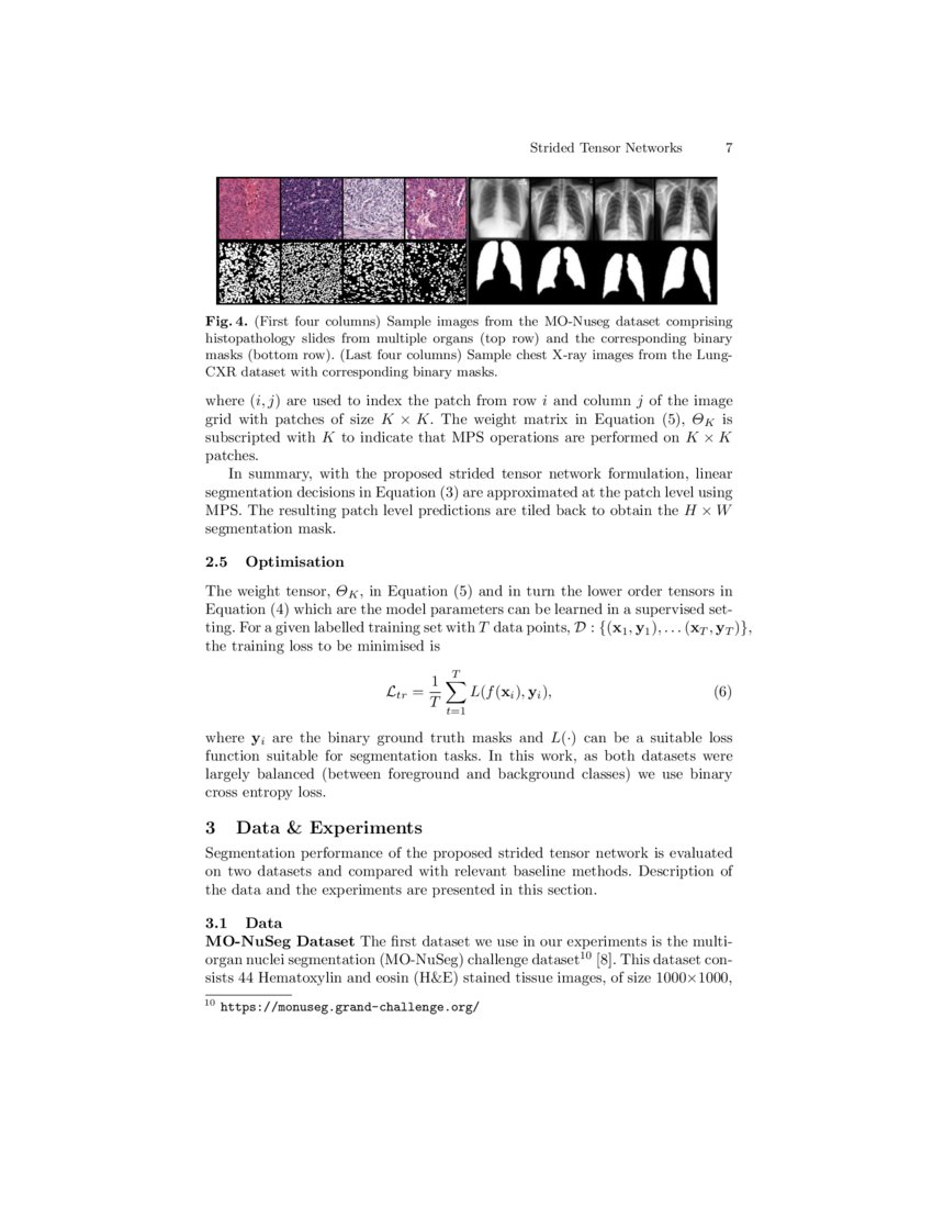Segmenting two-dimensional structures with strided tensor networks | DeepAI