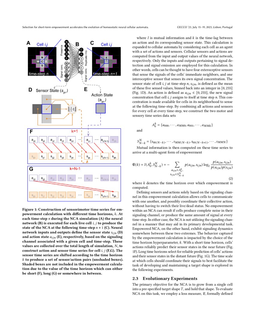 Selection For Short Term Empowerment Accelerates The Evolution Of Homeostatic Neural Cellular