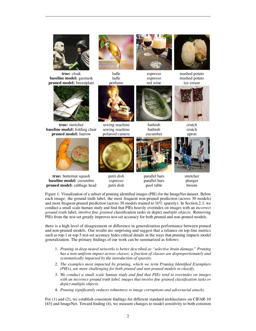 Selective Brain Damage: Measuring the Disparate Impact of Model Pruning ...