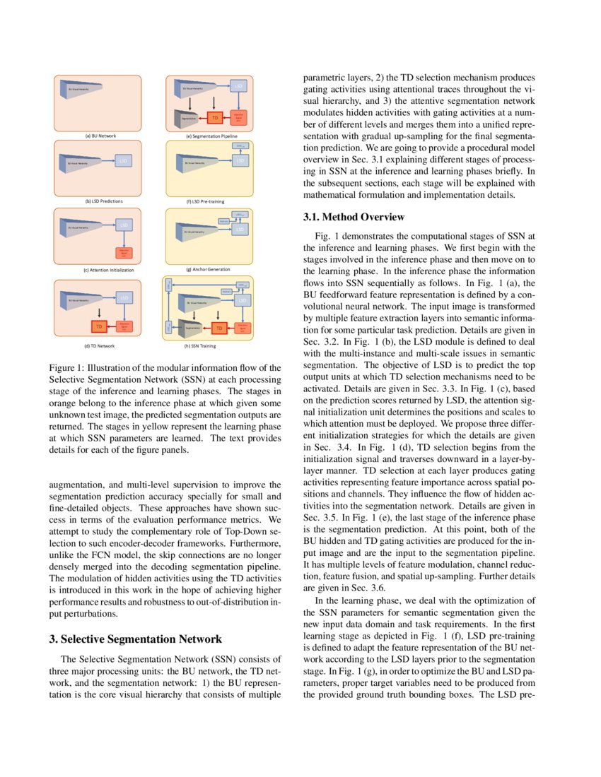 Selective Segmentation Networks Using Top-Down Attention | DeepAI
