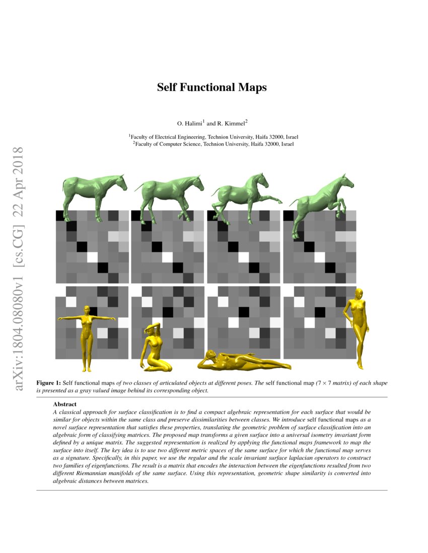 Self Functional Maps | DeepAI