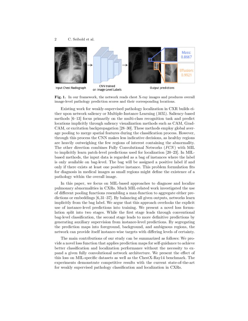 Self-Guided Multiple Instance Learning for Weakly Supervised Disease Classification and ...