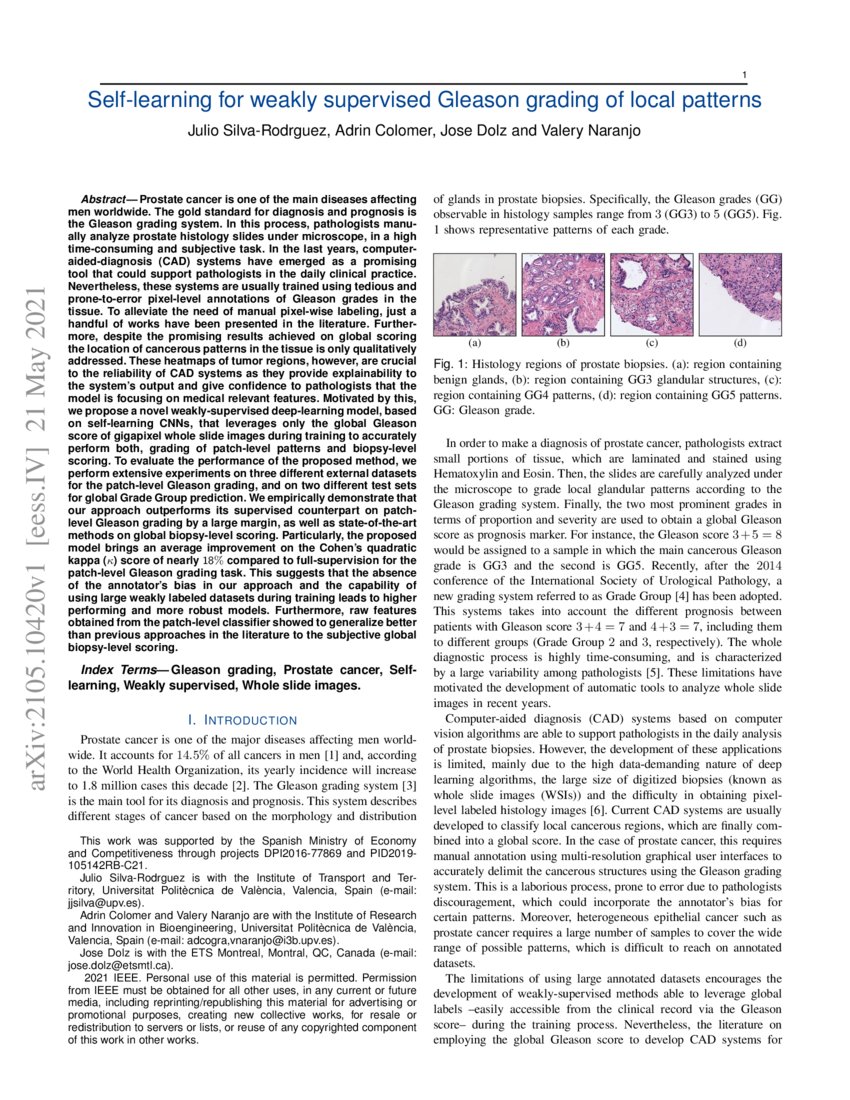 Self-learning for weakly supervised Gleason grading of local patterns | DeepAI