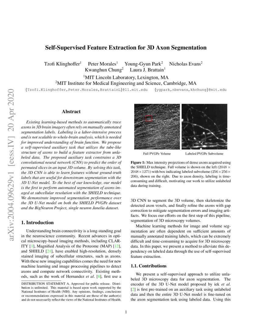 Self Supervised Feature Extraction For 3d Axon Segmentation Deepai