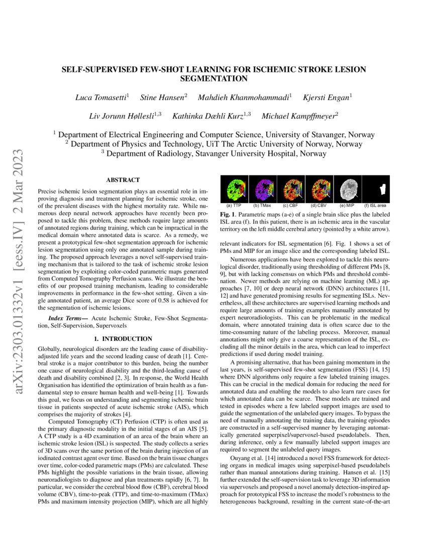 Self Supervised Few Shot Learning For Ischemic Stroke Lesion Segmentation Deepai
