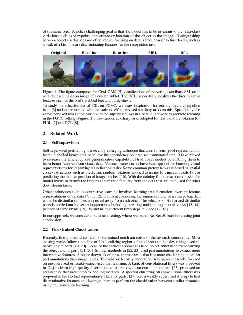 Self-Supervised Learning for Fine-Grained Visual Categorization | DeepAI