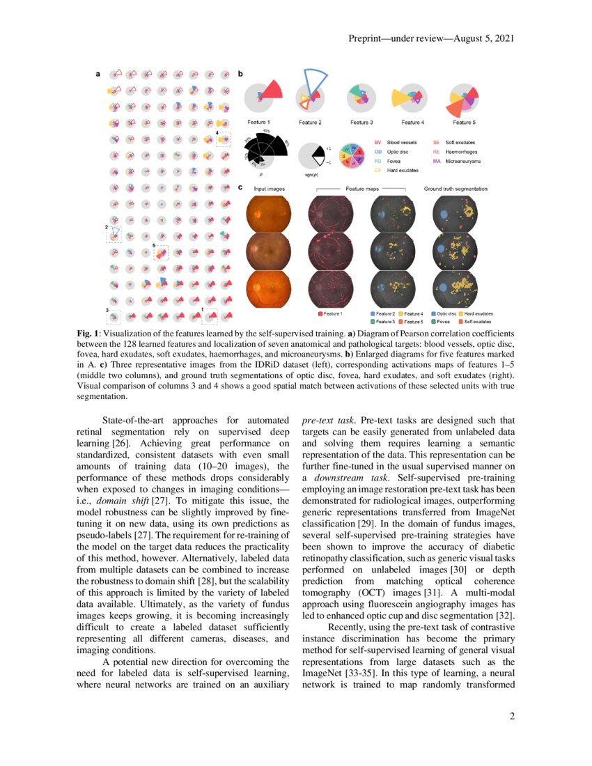 Self-Supervised Learning from Unlabeled Fundus Photographs Improves ... Self-Supervised Learning from Unlabeled Fundus Photographs Improves ...