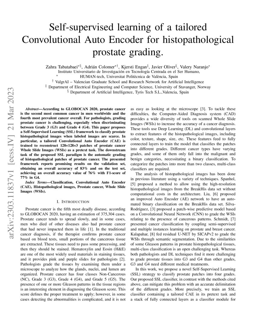 Self-supervised learning of a tailored Convolutional Auto Encoder for ...
