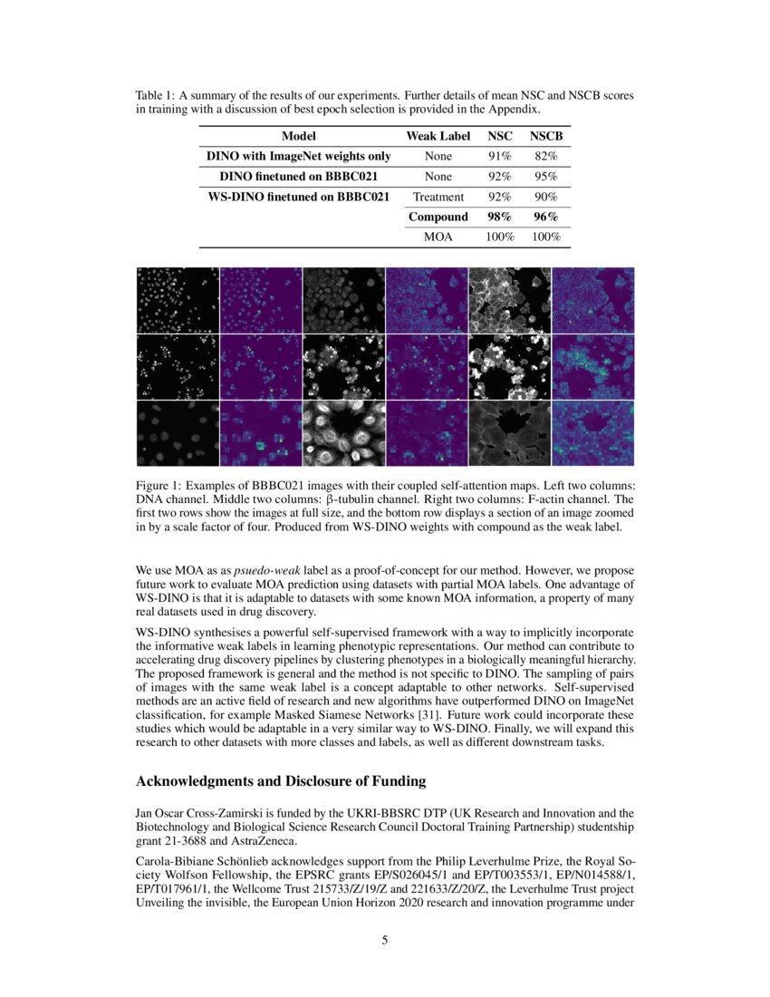 Self-Supervised Learning of Phenotypic Representations from Cell Images ... Self-Supervised Learning of Phenotypic Representations from Cell Images ...