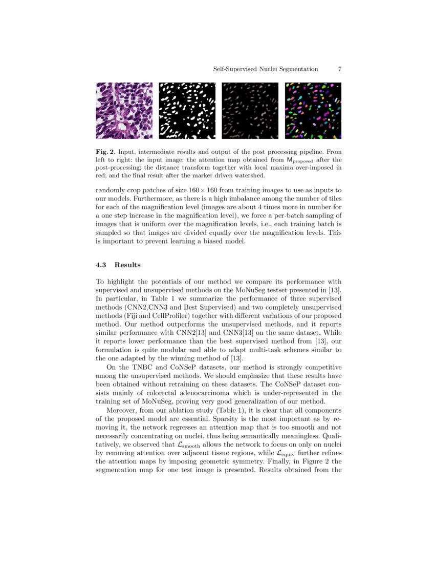 Self-Supervised Nuclei Segmentation in Histopathological Images Using Attention | DeepAI