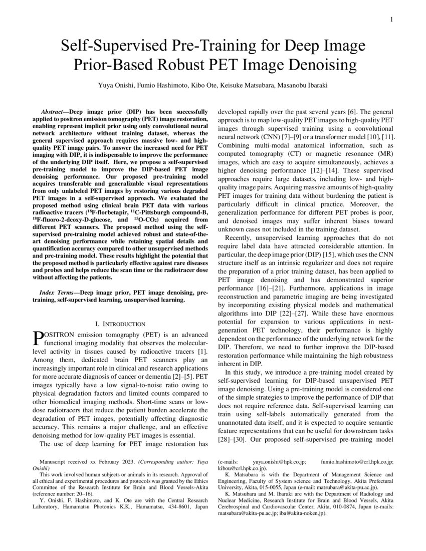 Self-Supervised Pre-Training for Deep Image Prior-Based Robust PET Image Denoising | DeepAI