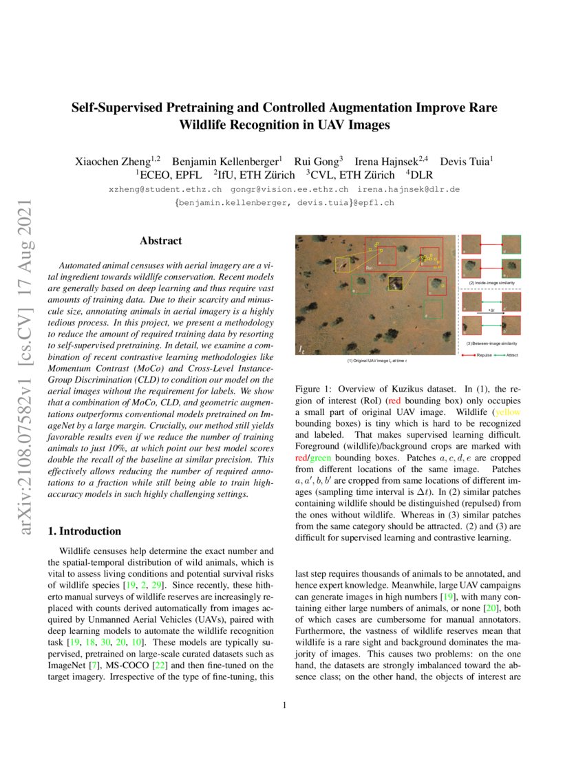 Self-Supervised Pretraining and Controlled Augmentation Improve Rare Wildlife Recognition in UAV ...
