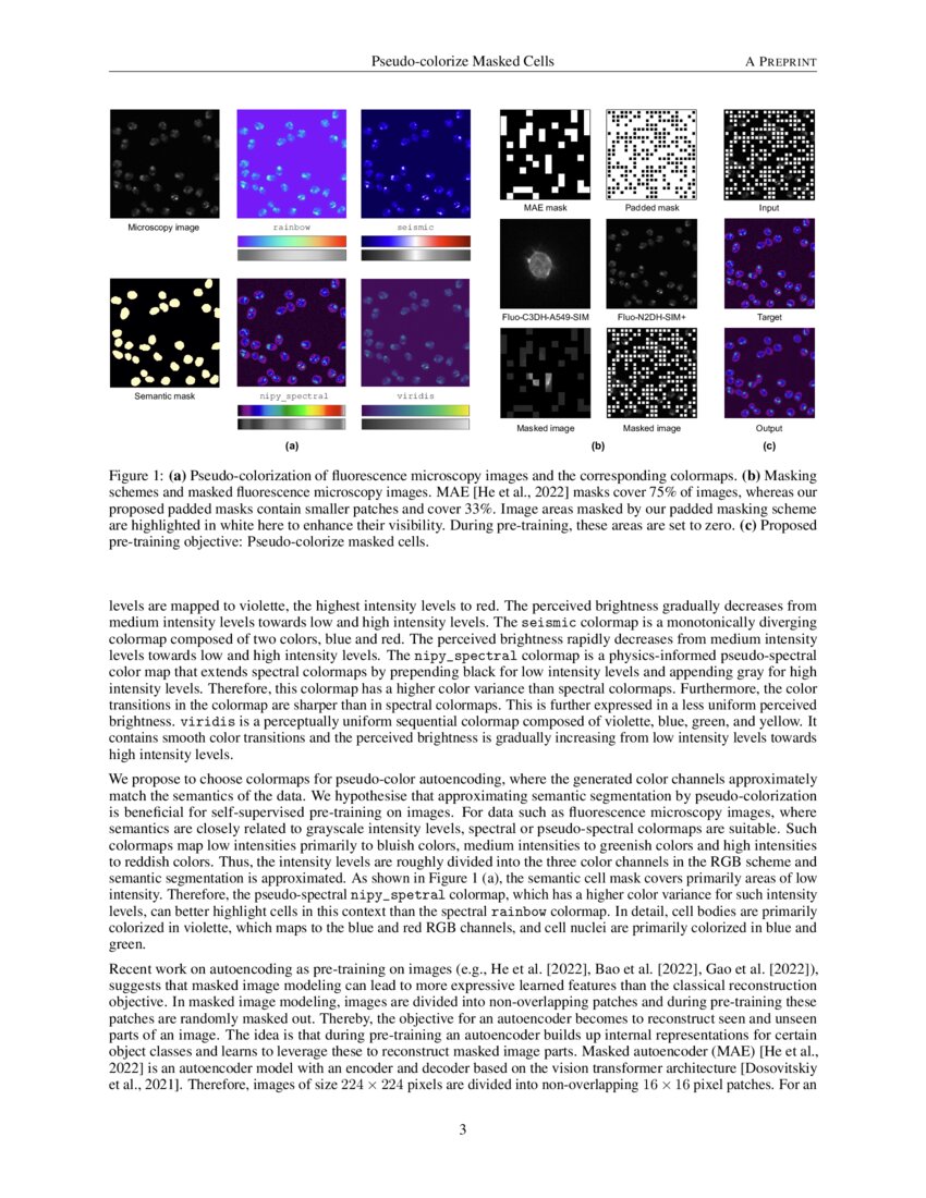 Self-supervised Pseudo-colorizing of Masked Cells | DeepAI