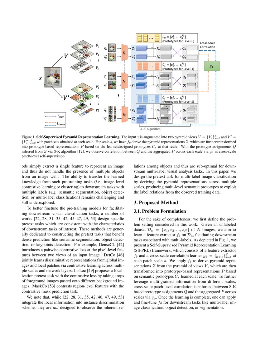 Self Supervised Pyramid Representation Learning For Multi Label Visual Analysis And Beyond Deepai