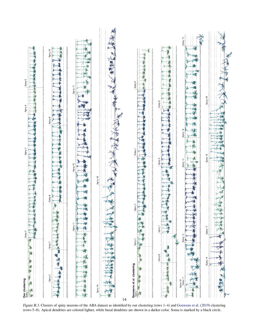 Self-supervised Representation Learning of Neuronal Morphologies | DeepAI