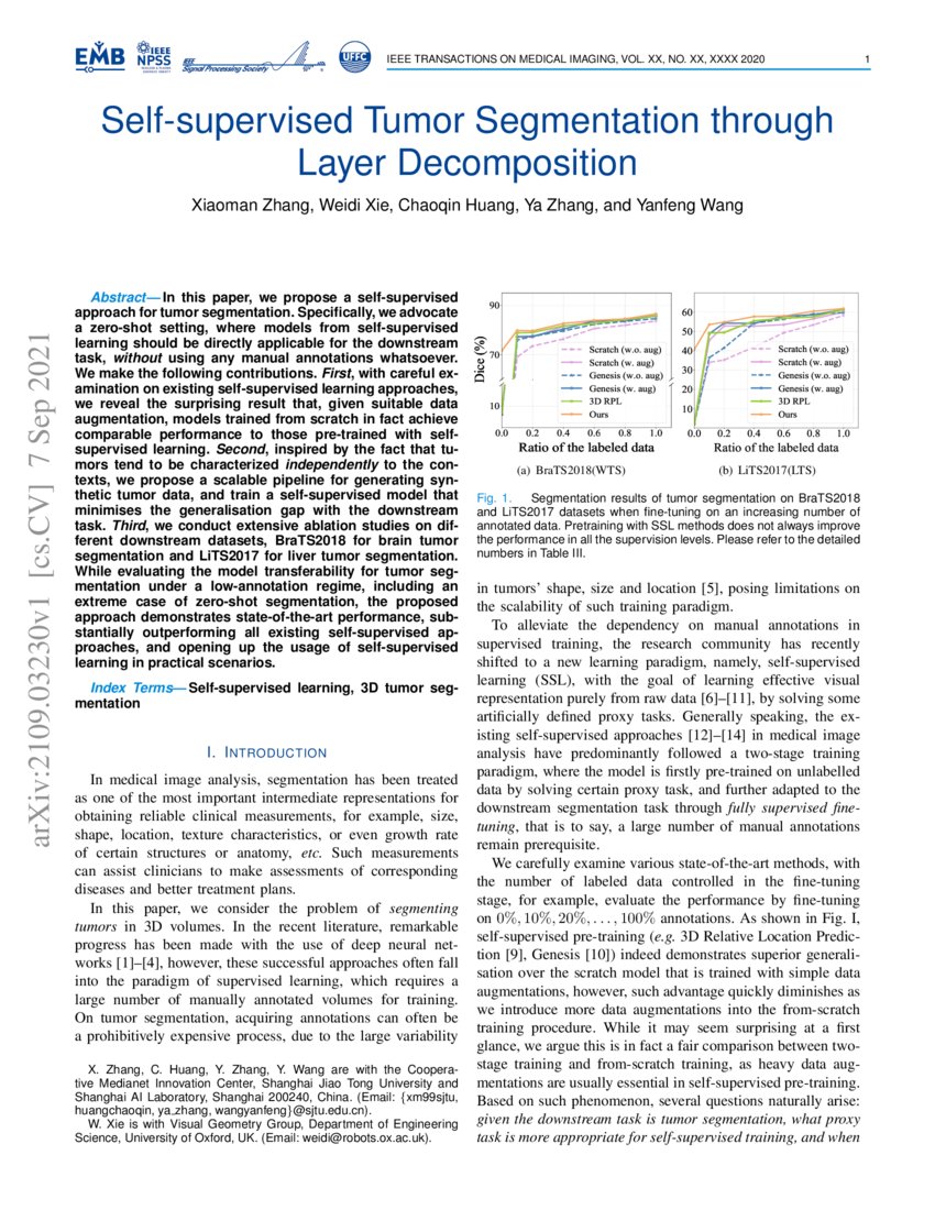 Self-supervised Tumor Segmentation through Layer Decomposition | DeepAI