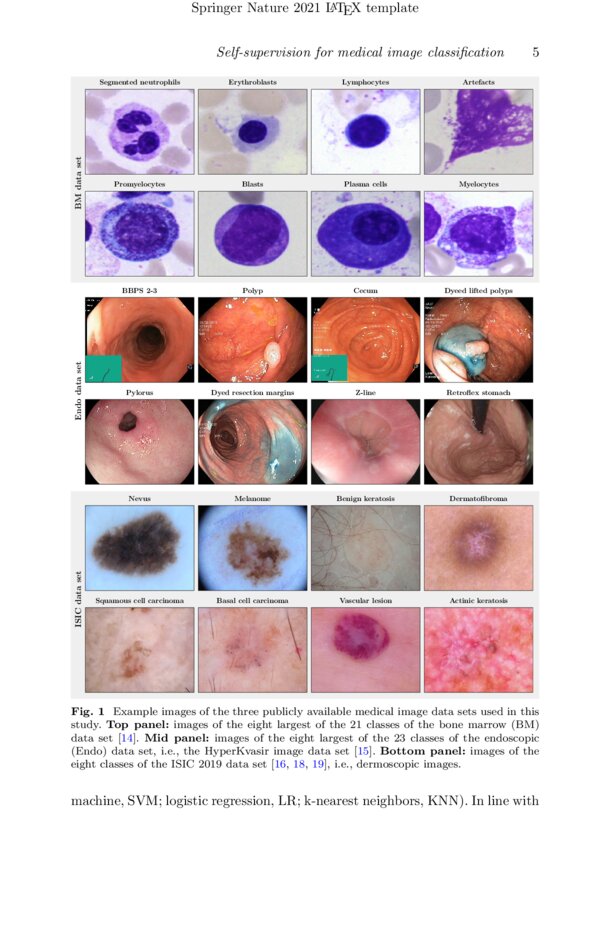 Self-supervision for medical image classification: state-of-the-art ...