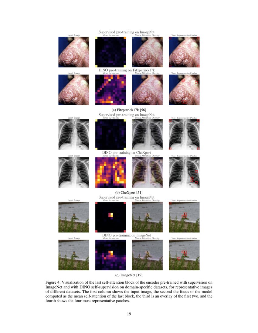 SelfClean: A Self-Supervised Data Cleaning Strategy | DeepAI