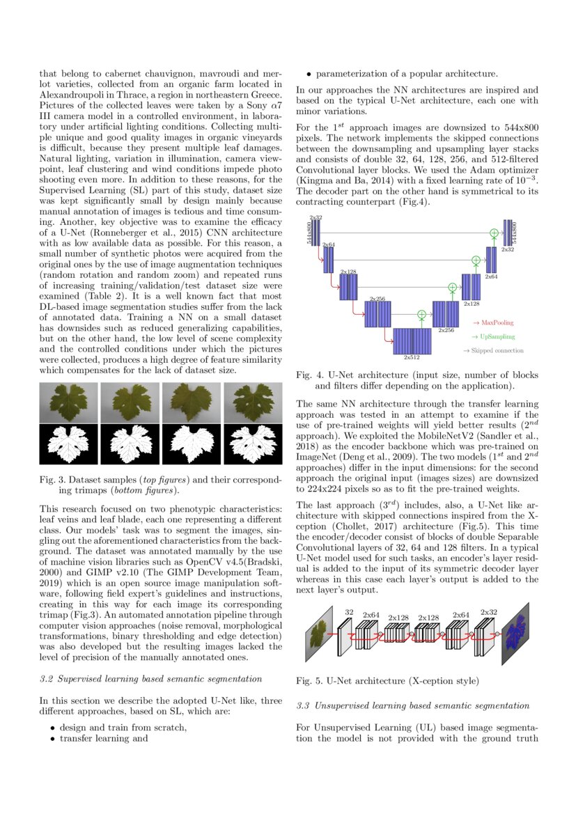 Semantic Image Segmentation With Deep Learning For Vine Leaf