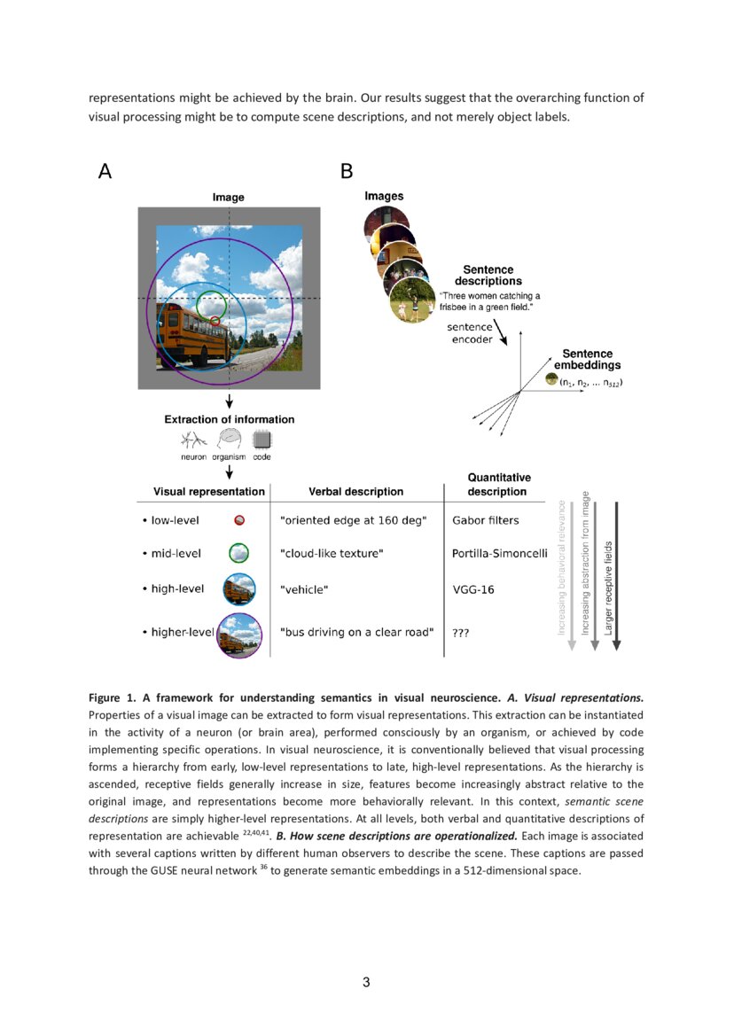 Semantic scene descriptions as an objective of human vision | DeepAI