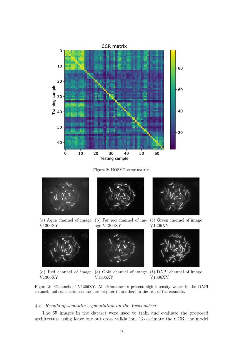 Semantic segmentation of mFISH images using convolutional networks | DeepAI